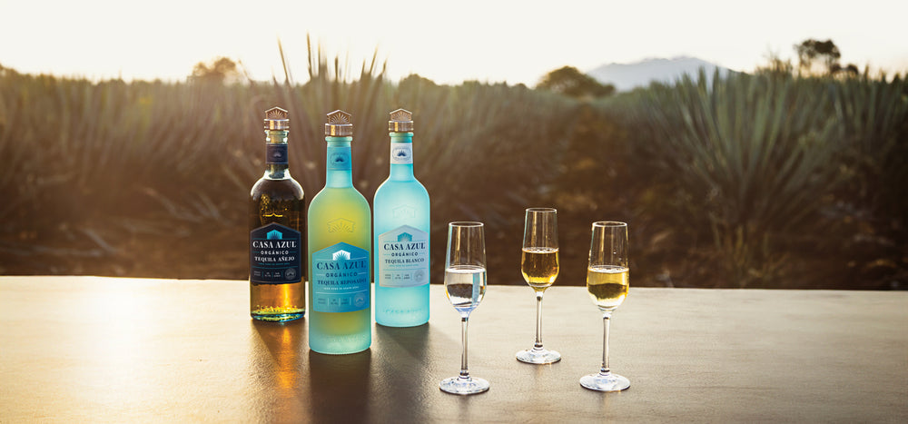Cocktails – Casa Azul Orgánico Tequila