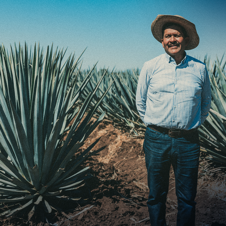 Casa Azul Orgánico Tequila